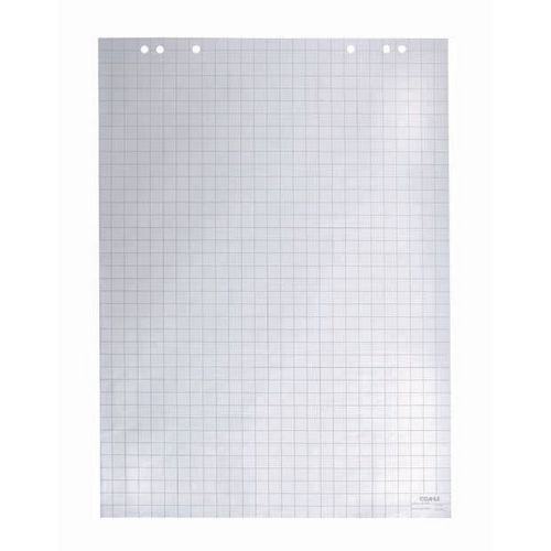 Hartie pentru flipchart, matematica, 100x65 cm, 20 coli | set